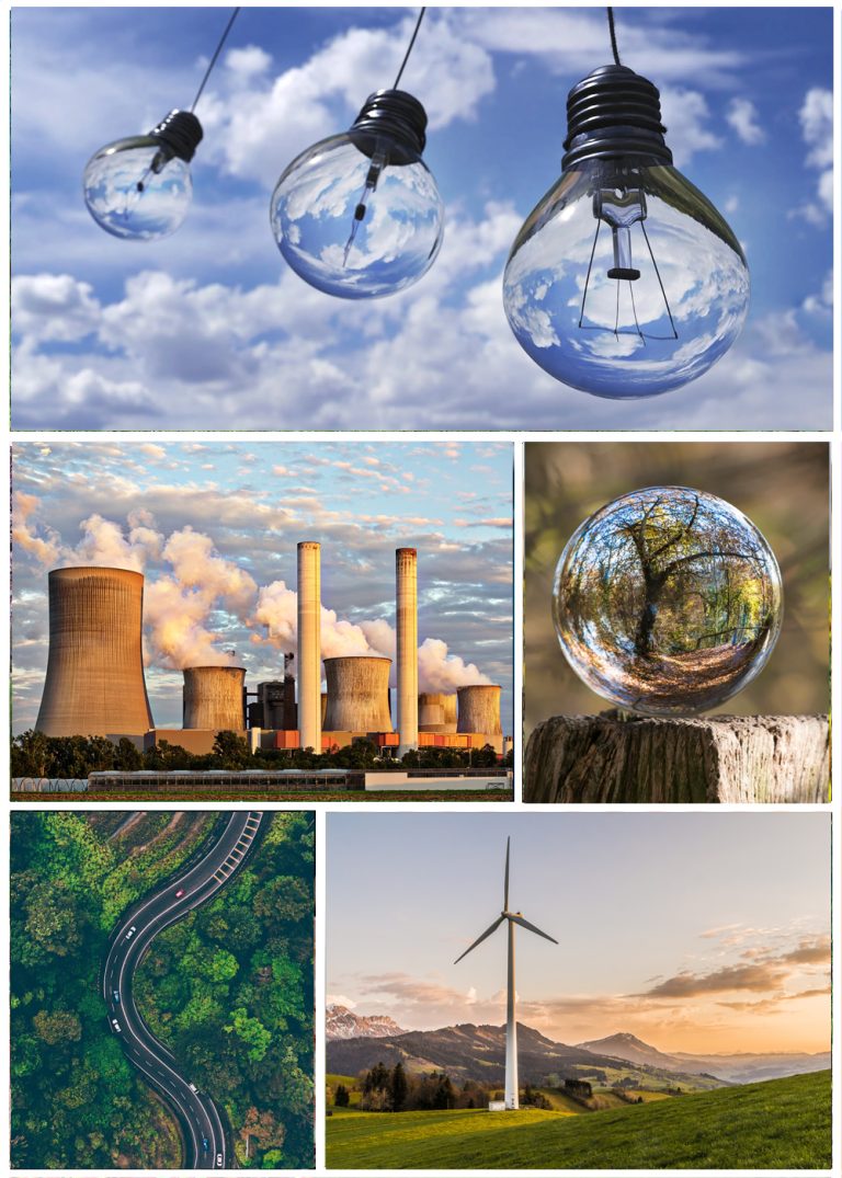 Fun Facts about Our Environment - Stories with Clever Hedgehog