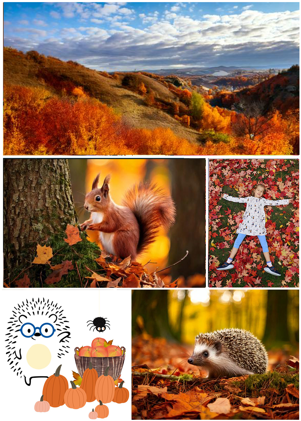 Fun Facts About the Fall - Stories with Clever Hedgehog