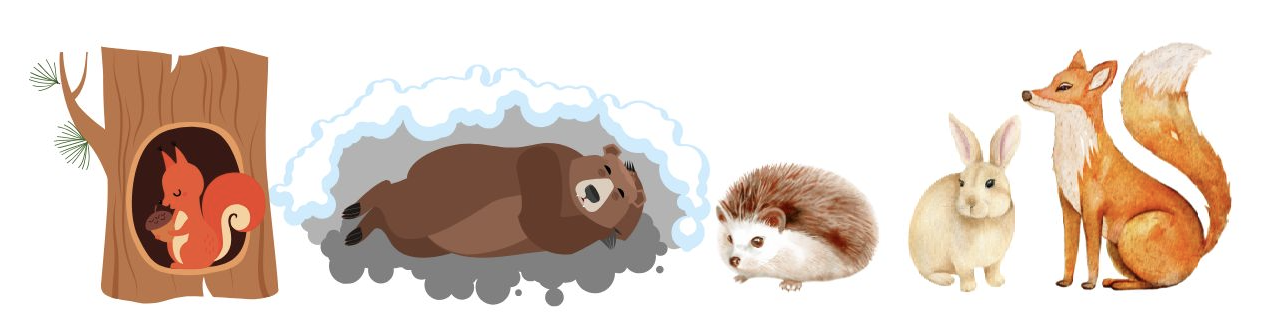 Enjoy The Beauty Of The Fall With Clever Hedgehog | News For Kids ...